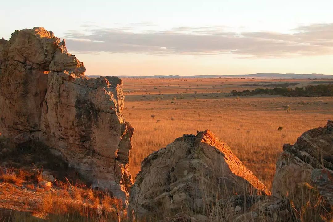 IT'S A NEW DAY! - CGM: Celebrating Global Mission Magazine